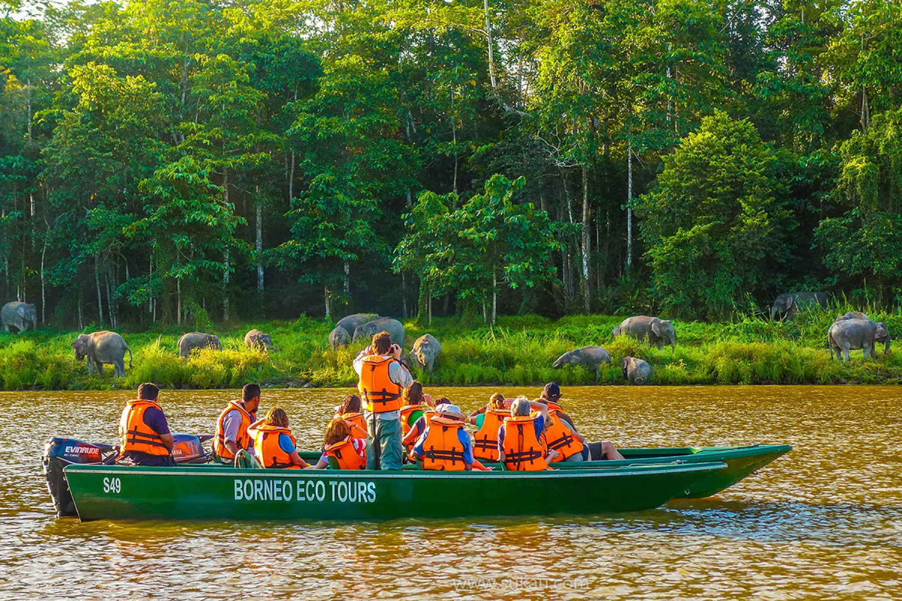 4D3N Sandakan Wildlife Safari | Borneo Eco Tours