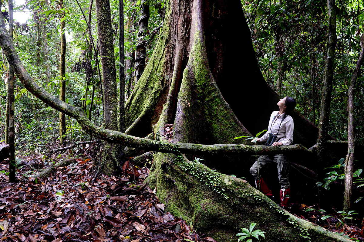 8D7N Sabah Borneo Wildlife Safari Tour Package | Borneo Eco Tours